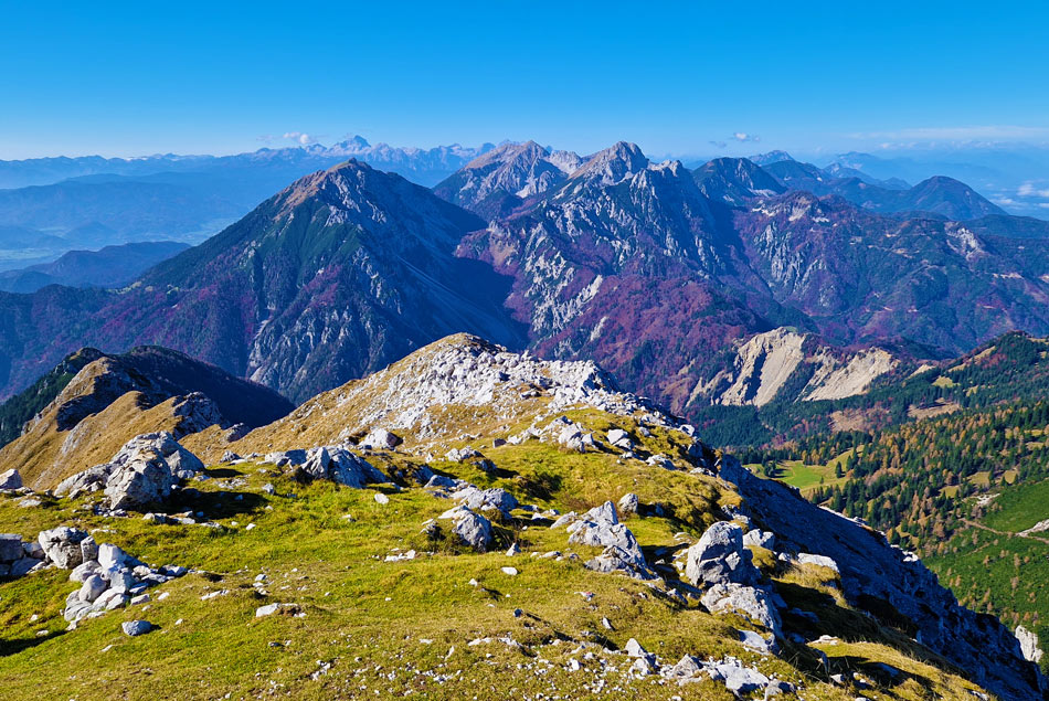 Veliki vrh